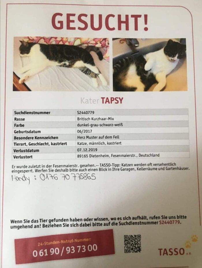 Tapsy – Katzenhilfe Ehingen e.V.
